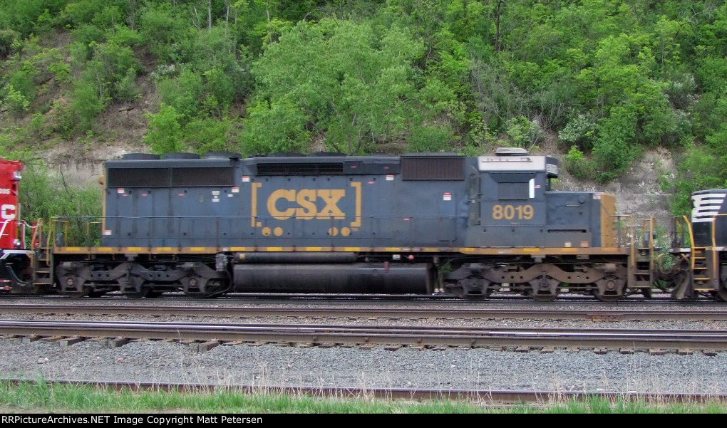 CSX 8019